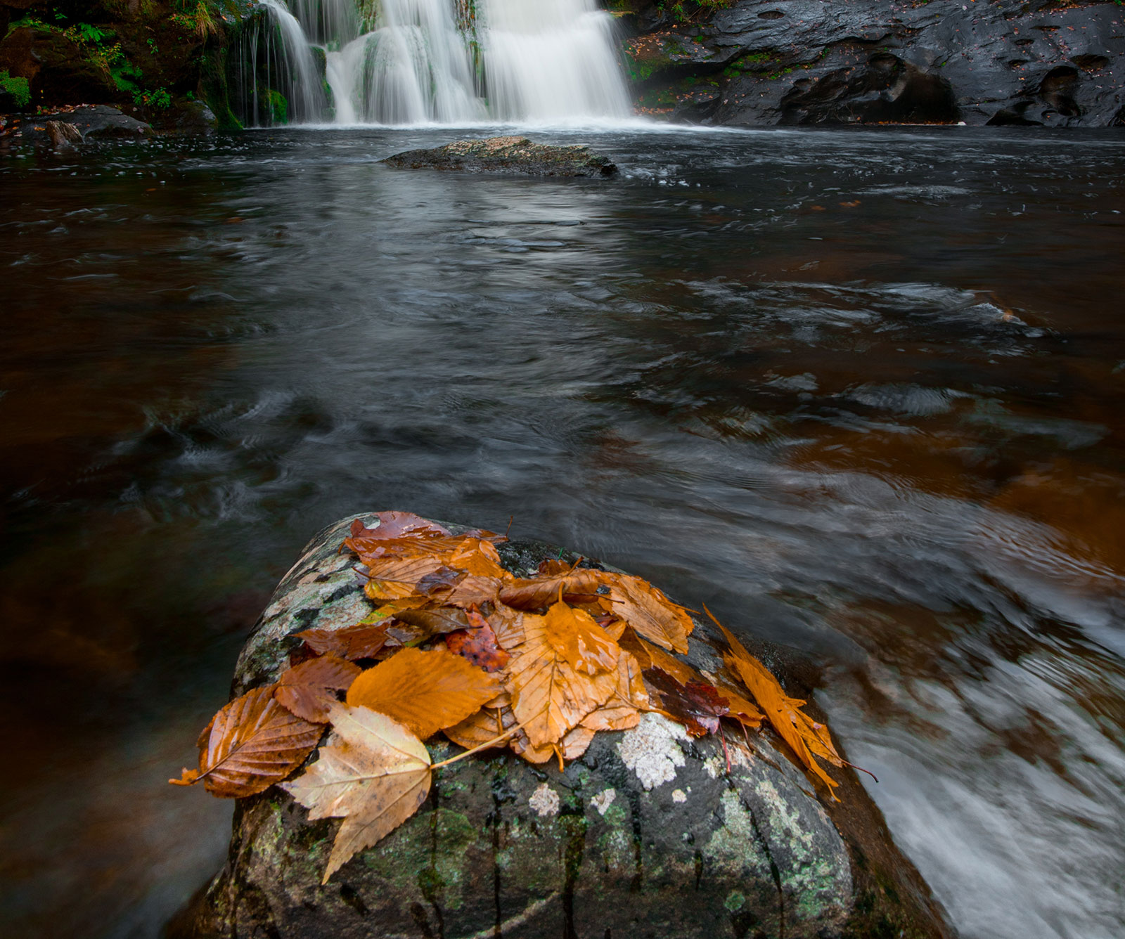 Jennifer Bloom Social Work, Counseling